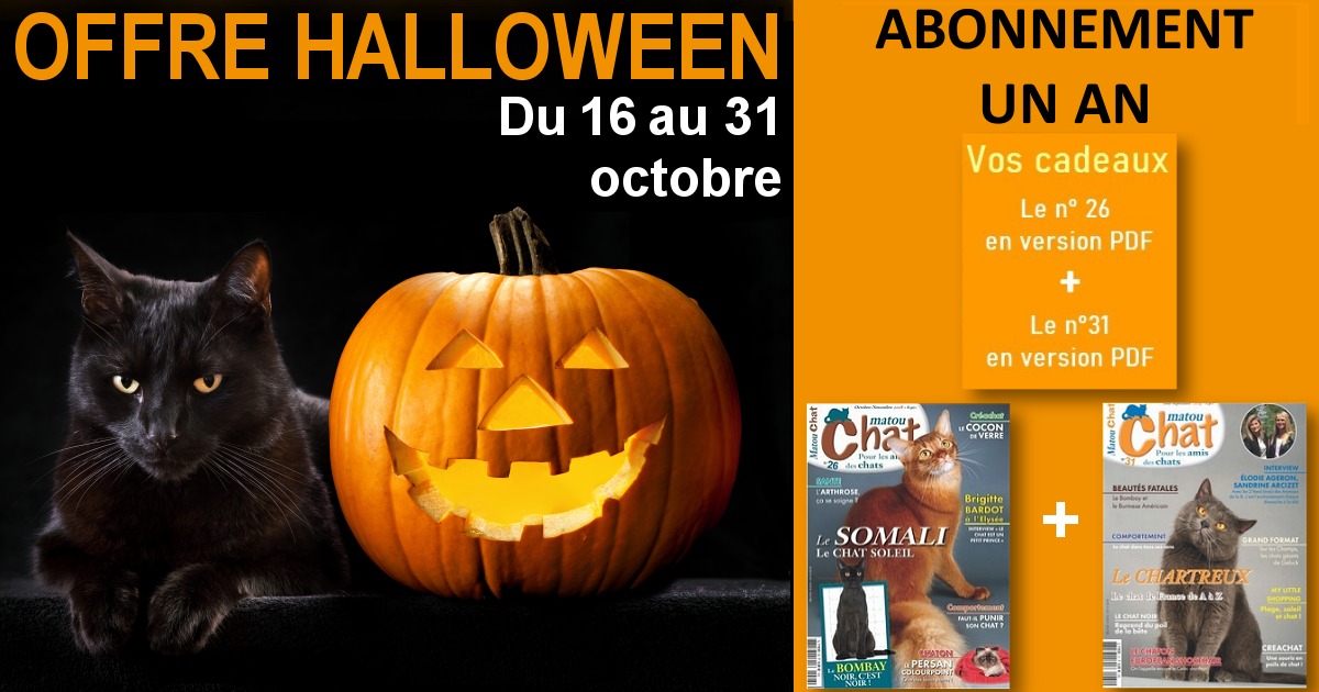 Offre Halloween - Matou Chat Magazine