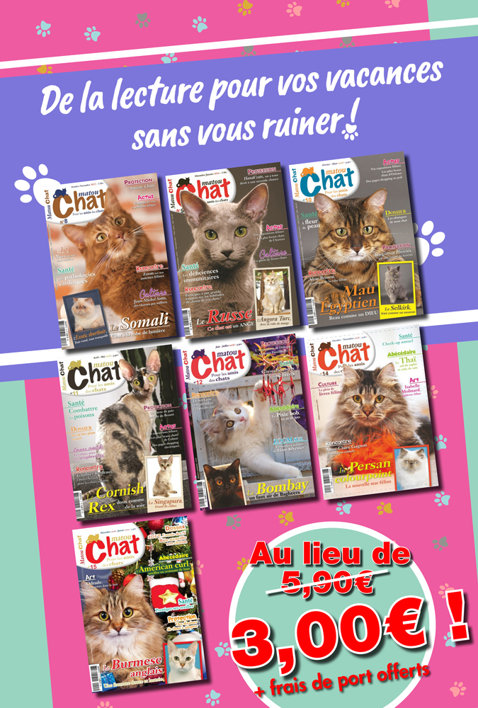 Les magazines Matou Chat en version "papier" - Matou Chat Magazine