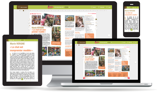 Accueil Matou Chat Magazine - V2 - Matou Chat Magazine