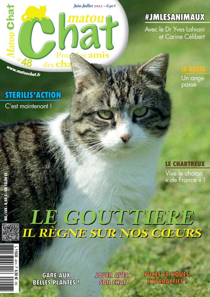Matou Chat n°048 ( version papier ) - Matou Chat Magazine